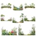 Watercolor Bush Borders Clipart, PNG Digital Files on Transparent ...