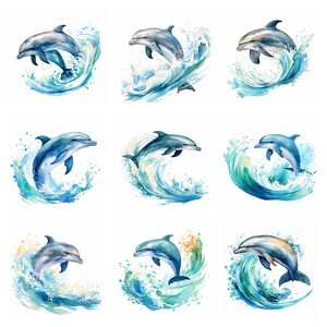 21 Playful Dolphins Watercolor Clipart, Ocean Clipart, PNG Individual ...