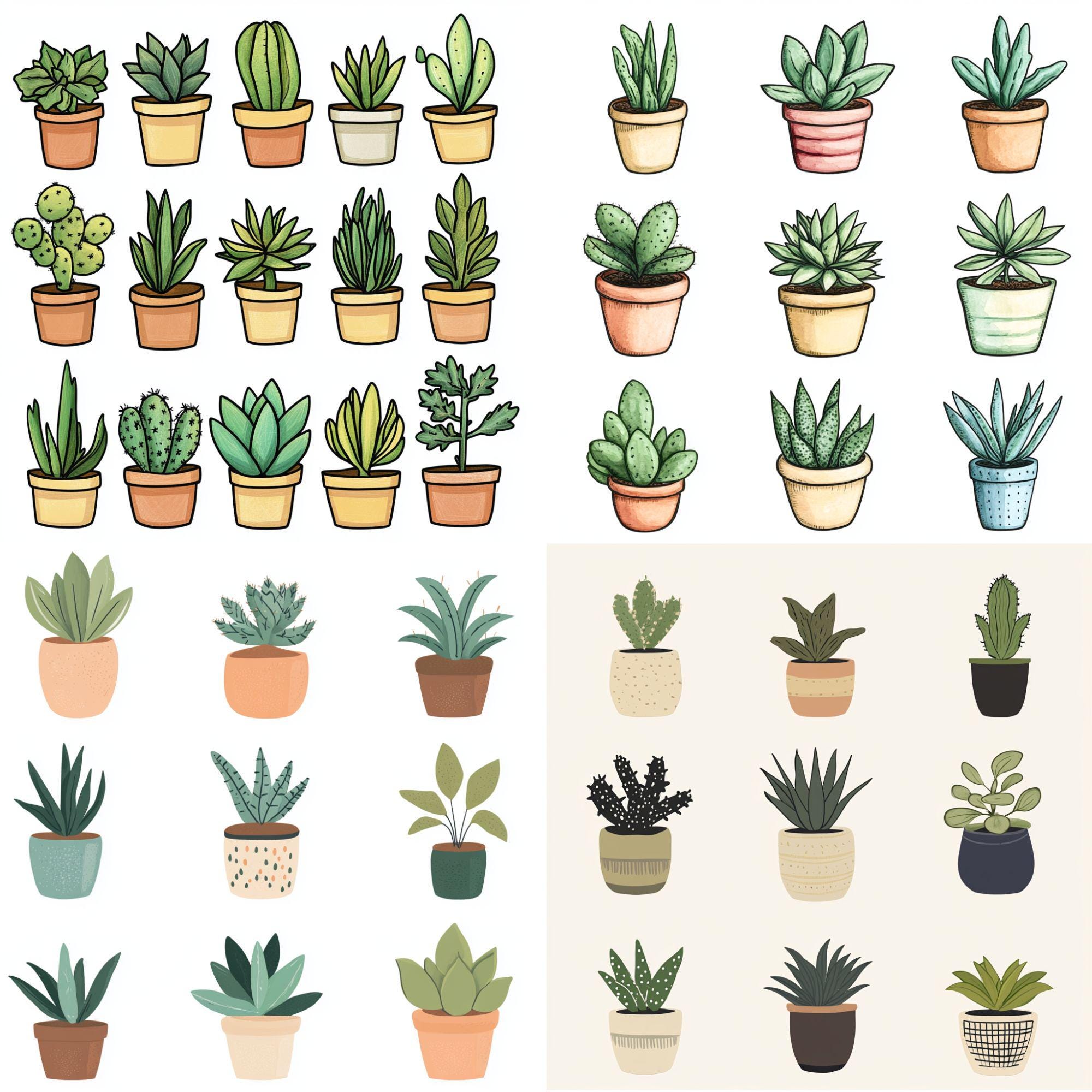 Succulent and Cactus Clipart Bundle – Cute Potted Plants PNG for ...