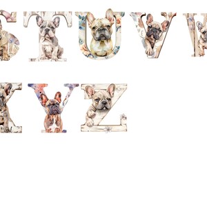 French Bulldog Alphabet, Letters Png, Alphabet Png, Instant Download ...