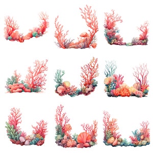 Watercolor Coral Borders Clipart, PNG Digital Files on Transparent ...