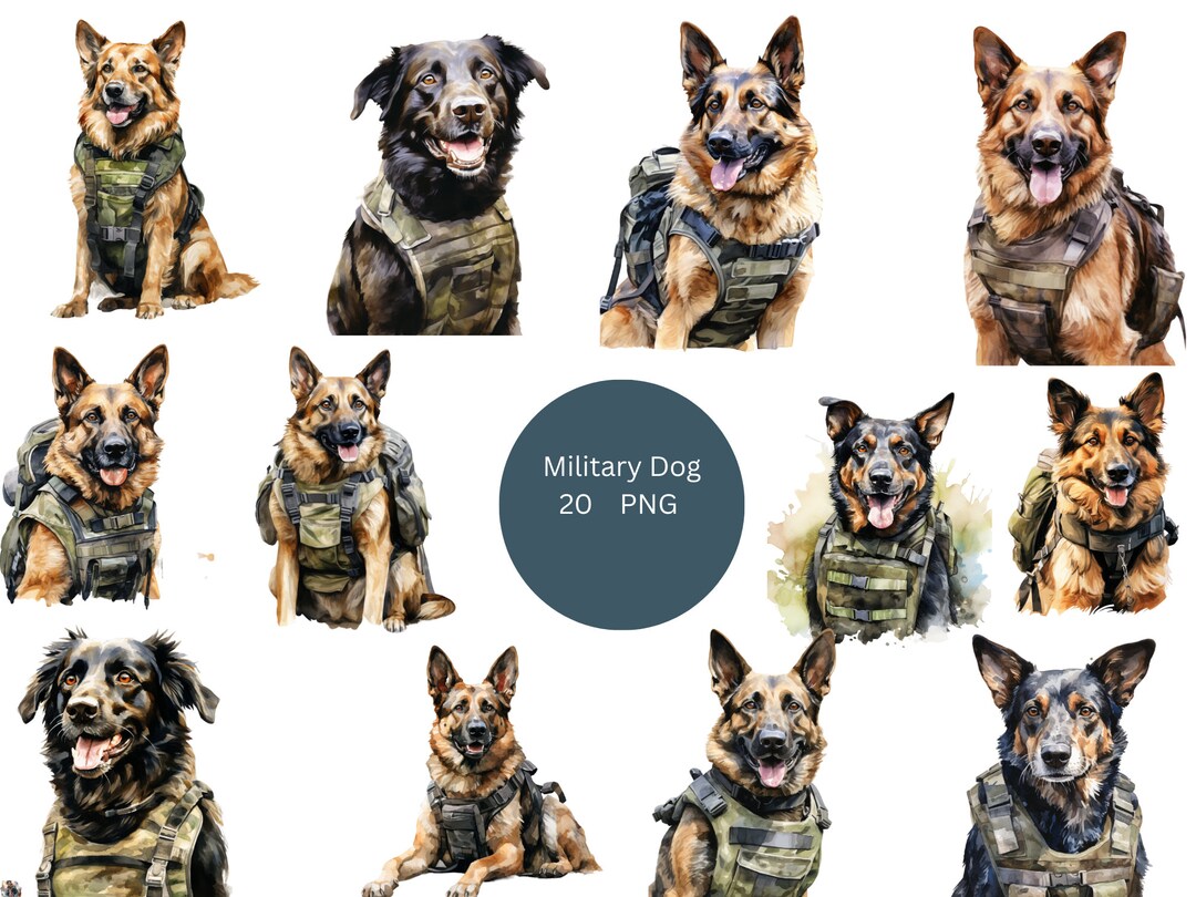 20 Military Dogs Watercolor Clipart, Military Clipart, PNG Digital ...