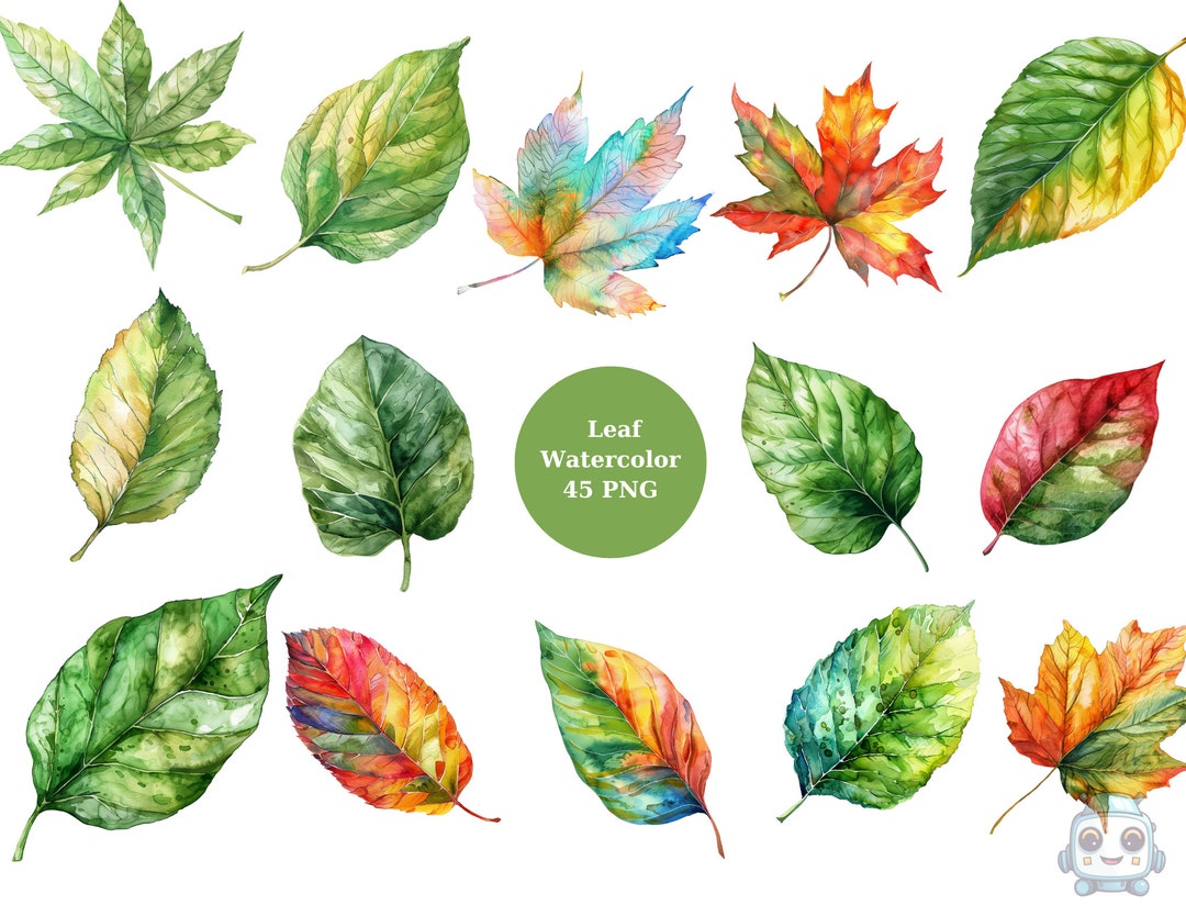 Watercolor Leaf Clipart, Leaves Clipart, PNG Individual Images on ...