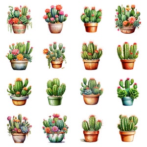 45 Cactus in Pot Watercolor Clipart, Pots Clipart, PNG Digital Files on ...