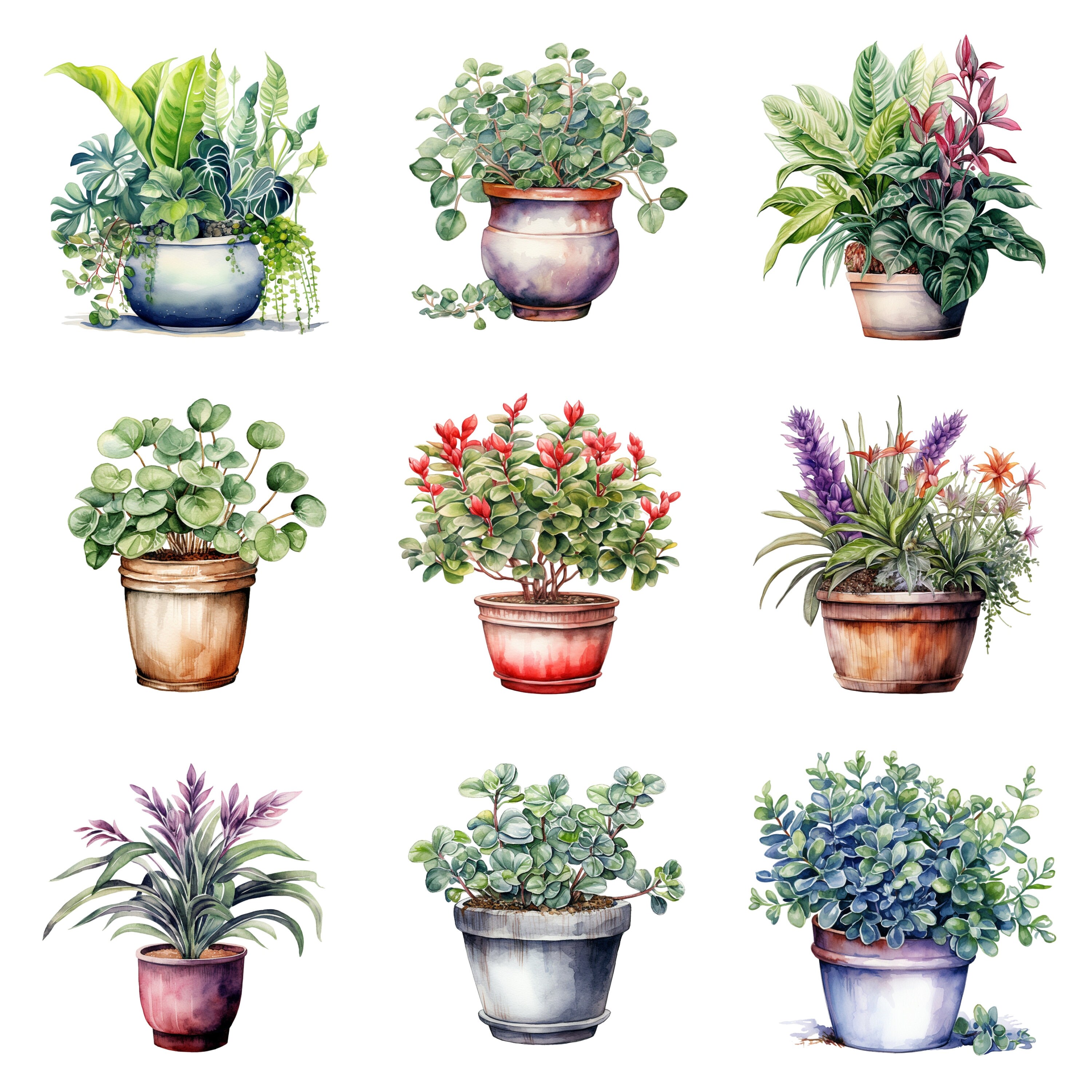Watercolor Plants in Pots Clipart PNG Digital Files on - Etsy