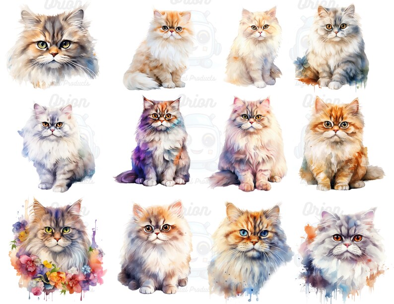 Watercolor Persian Cats Clipart PNG Digital Files on a - Etsy