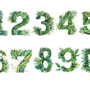 Watercolor Tropical Leaves Numbers, Eaves Numbers, Instant Download for ...