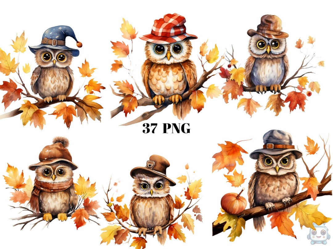37 Owl With Hats Watercolor Clipart, Fall Owls, Fall Clipart, PNG ...