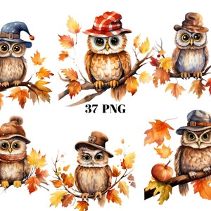 37 Owl With Hats Watercolor Clipart, Fall Owls, Fall Clipart, PNG ...