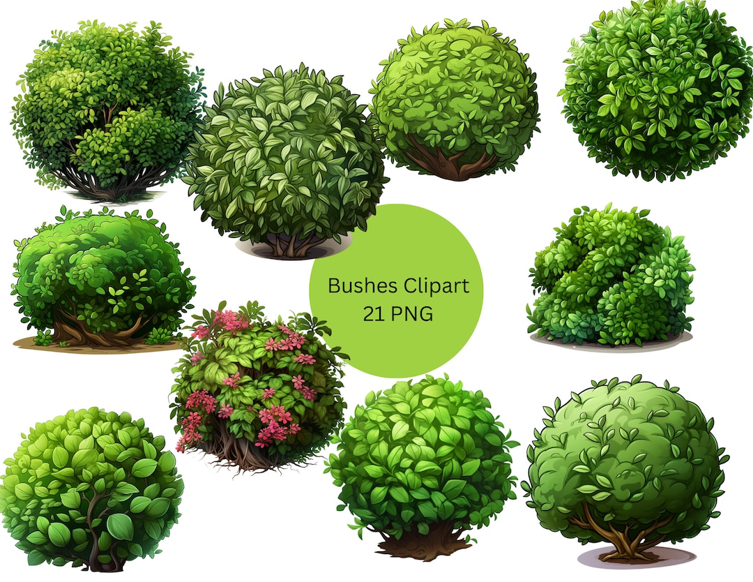 Bushes Clipart, PNG Digital Files on Transparent Background ...