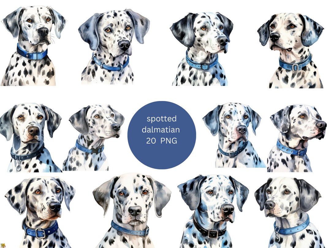 20 Spotted Dalmatians Watercolor Clipart, Pets Clipart, PNG Individual ...