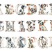 Teddy Bear Alphabet, Letters Png, Alphabet Png, Instant Download for ...