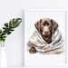 34 Snuggly German Shorthaired Pointers Watercolor Clipart, Pets Clipart ...