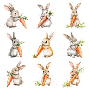 37 Bunnies With Carrots Watercolor Clipart, Bunny Clipart, PNG ...