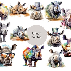 Watercolor Rhinoceros Clipart, Rhinos PNG, Digital Files on Transparent ...