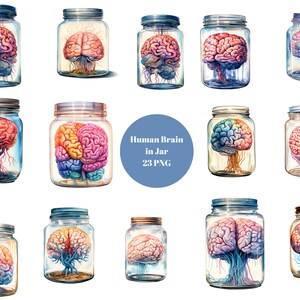 23 Human Brain in Jar Watercolor Clipart, PNG Digital Files on ...