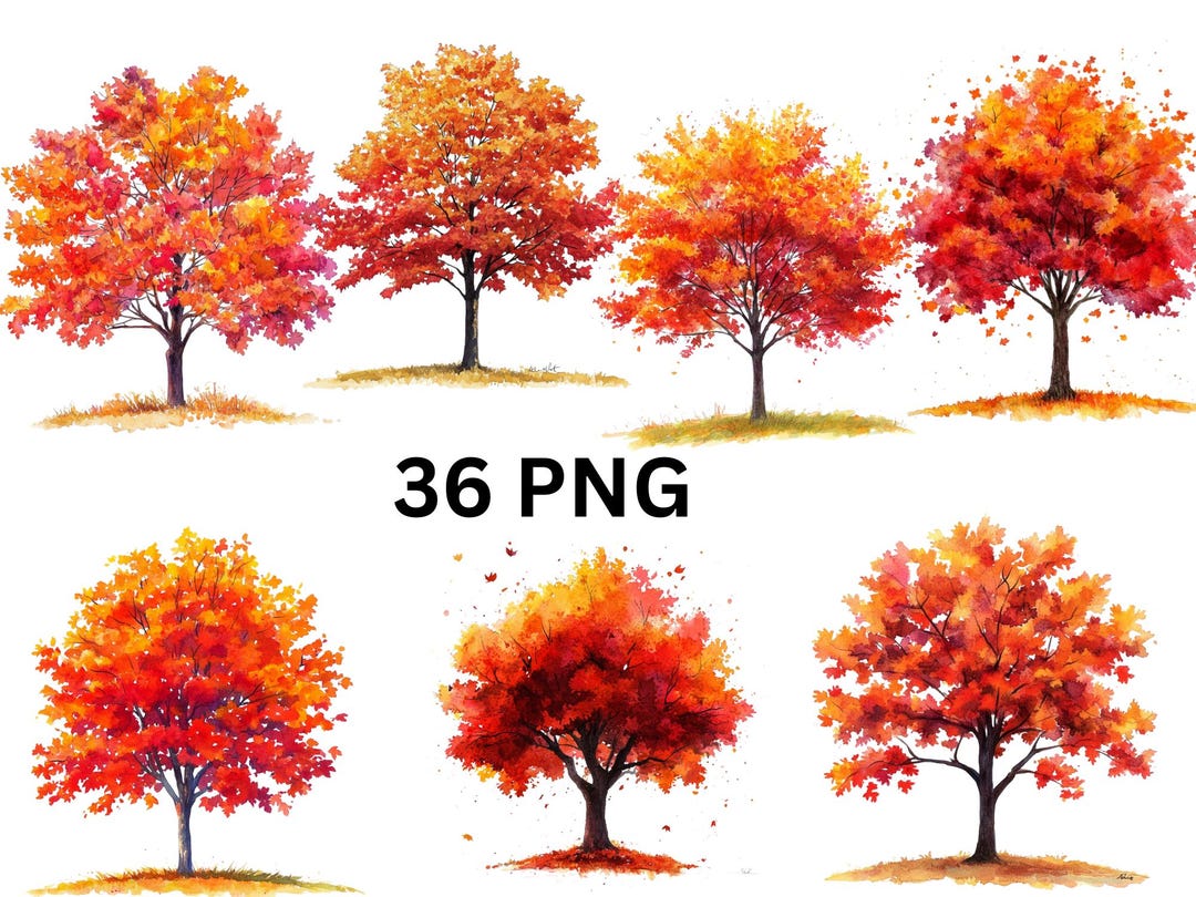 Watercolor Autumn Tree Clipart | 36 PNG Individual Images on ...