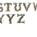 Woodland Tree Letters Clipart - Rustic Nature Alphabet Png, Instant ...