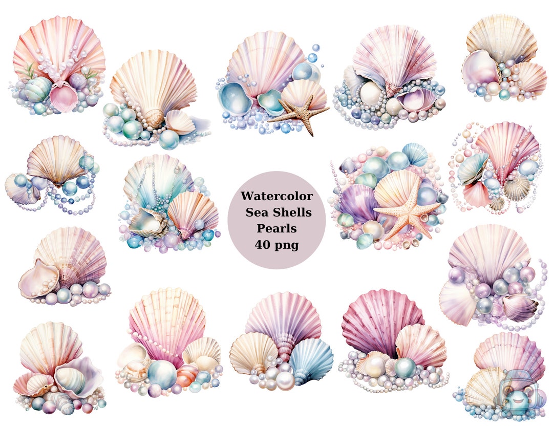 Watercolor Sea Shells Pearls Clipart, PNG Individual Images on ...