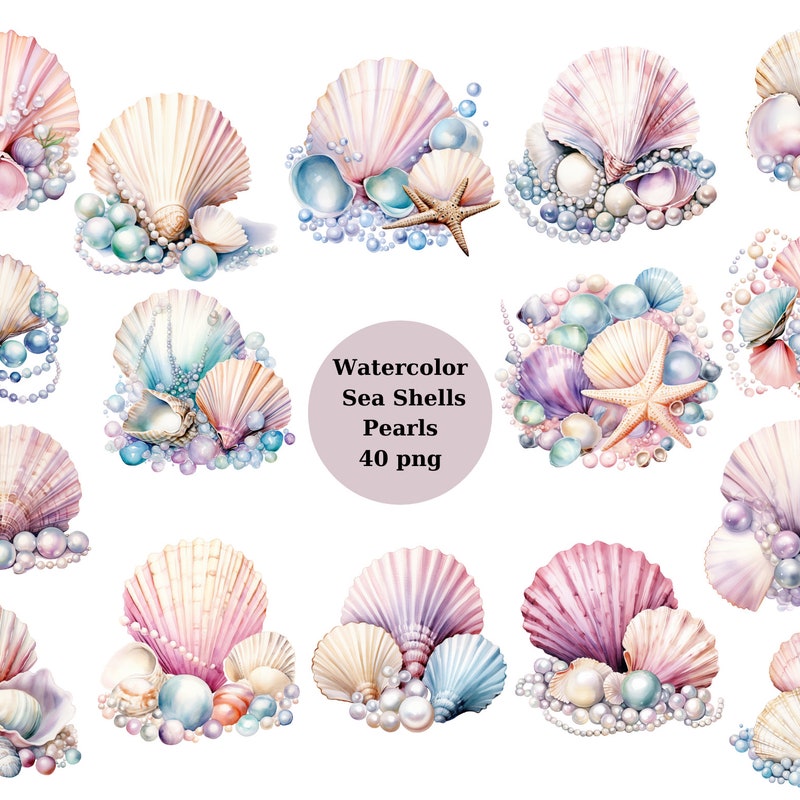 Shell Clipart - Etsy