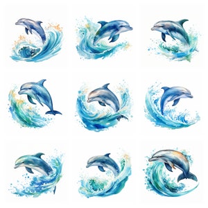 21 Playful Dolphins Watercolor Clipart, Ocean Clipart, PNG Individual ...