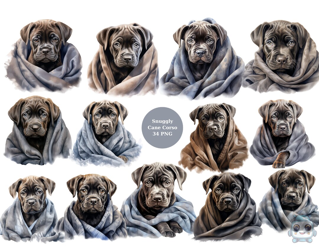 34 Snuggly Cane Corso Watercolor Clipart, Dogs Clipart, PNG Individual ...