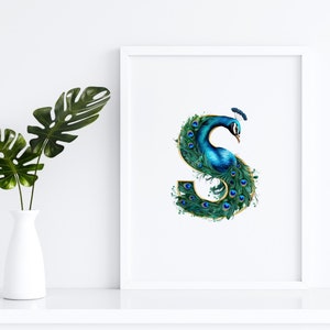 Peacock Alphabet, Letters Png, Alphabet Png, Instant Download for ...