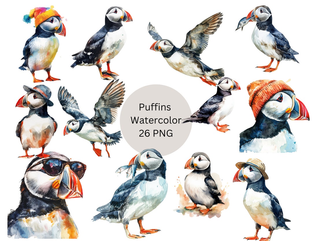 Watercolor Puffins Clipart, Atlantic Puffin Clipart, PNG Digital Files ...