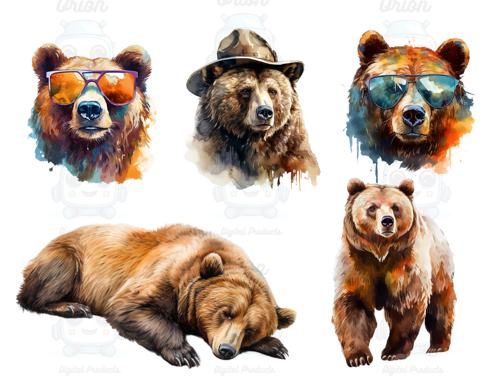Watercolor Grizzly Bears Clipart, PNG Digital Files on a Transparent ...