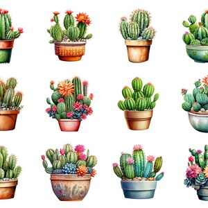 45 Cactus in Pot Watercolor Clipart, Pots Clipart, PNG Digital Files on ...