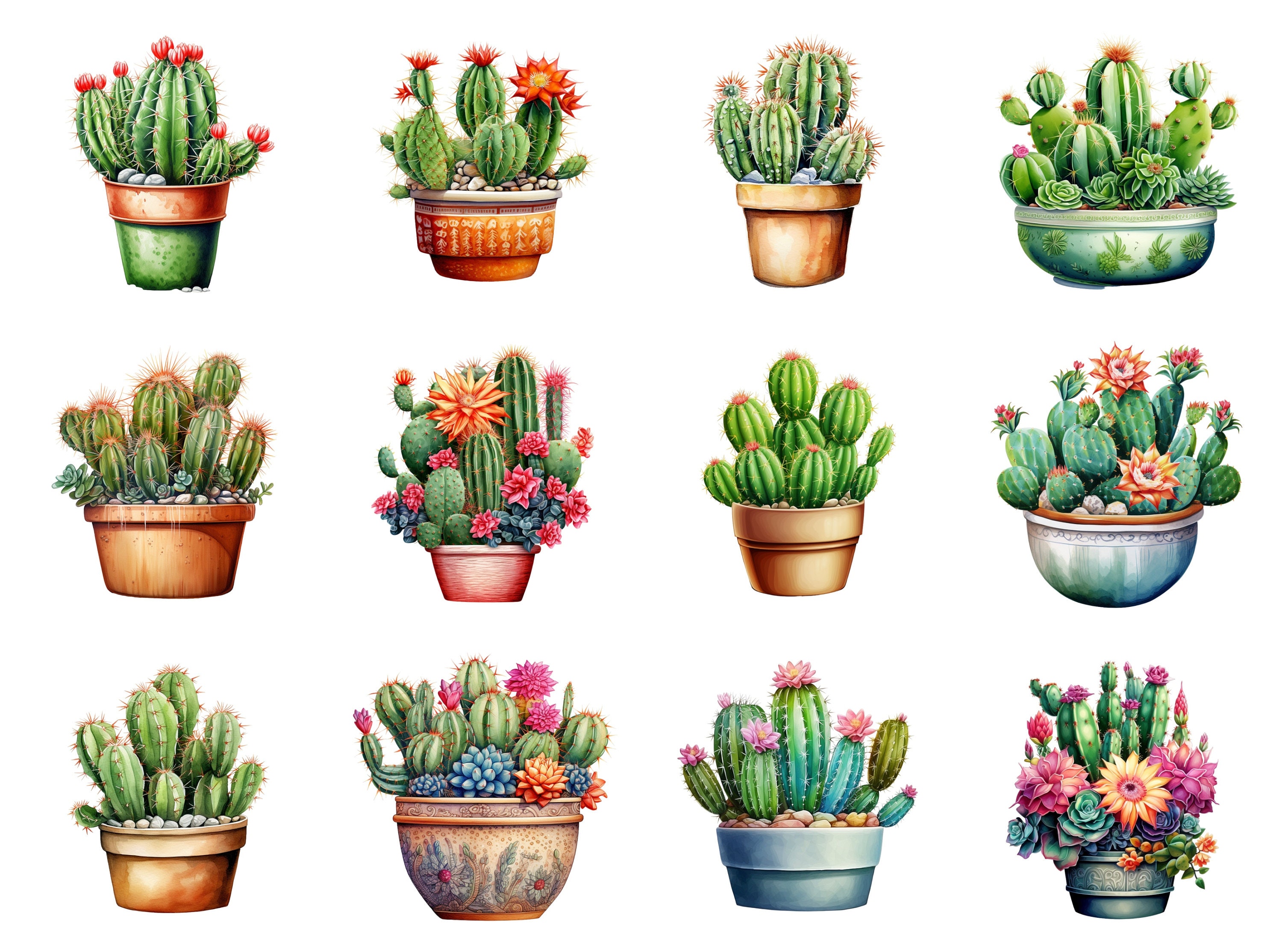45 Cactus in Pot Watercolor Clipart, Pots Clipart, PNG Digital Files on ...