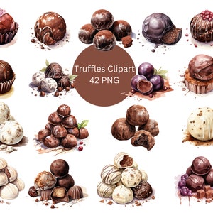Truffles Watercolor Clipart, Belgian Truffes Clipart, Chocolate PNG ...