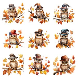 37 Owl With Hats Watercolor Clipart, Fall Owls, Fall Clipart, PNG ...