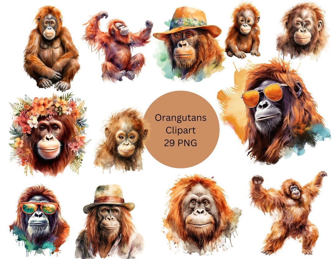 Watercolor Orangutans Clipart, PNG Digital Files on Transparent ...