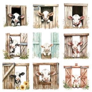 Farm Cow Clipart Set 30 Cute Calf in Barn Illustrations PNG Rustic ...