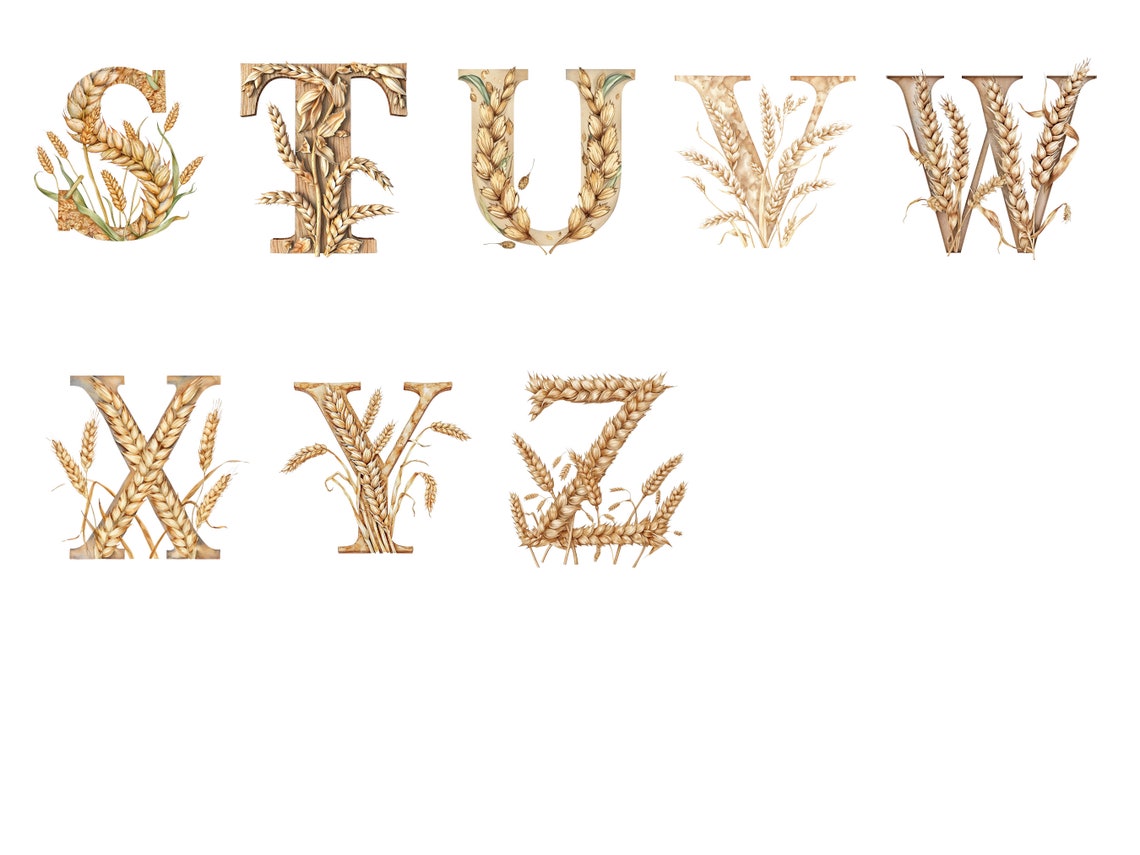 Watercolor Wheat Alphabet, Letters, PNG Individual Images, Commercial ...