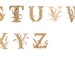 Watercolor Wheat Alphabet, Letters, PNG Individual Images, Commercial ...