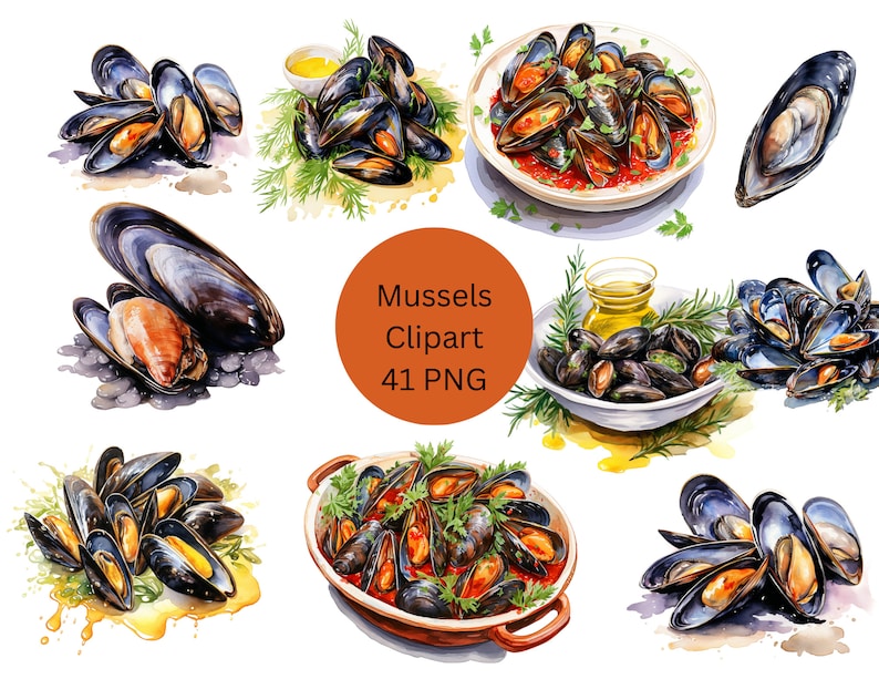 Watercolor Mussels Clipart PNG Digital Files on Transparent - Etsy