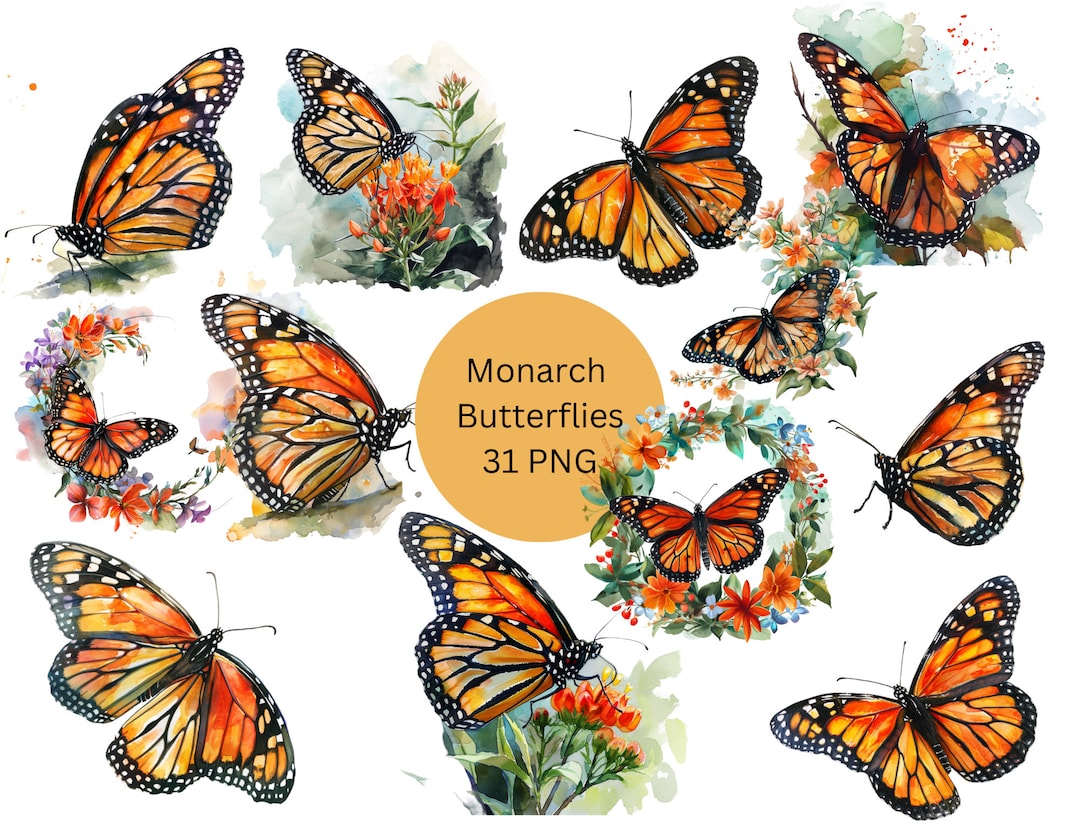 Watercolor Monarch Butterfly Clipart, PNG Digital Files on Transparent ...