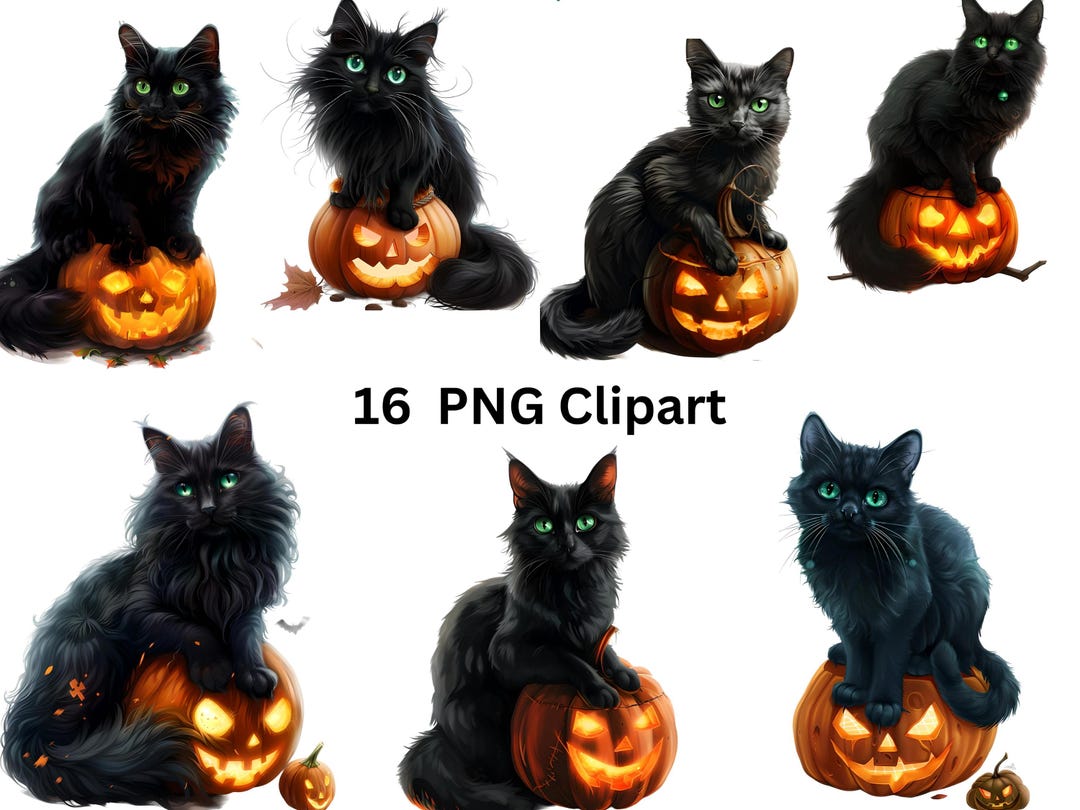 16 Black Cats With Pumpkins Clipart, Halloween Clipart, PNG Individual ...