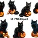 16 Black Cats With Pumpkins Clipart, Halloween Clipart, PNG Individual ...