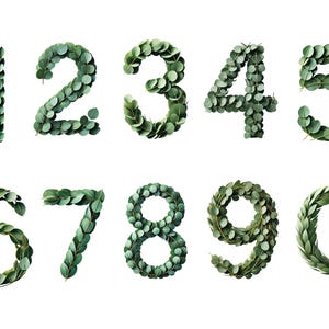 Eucalyptus Leaf Numbers Clipart Set - Botanical Numbers 0-9 - Greenery ...