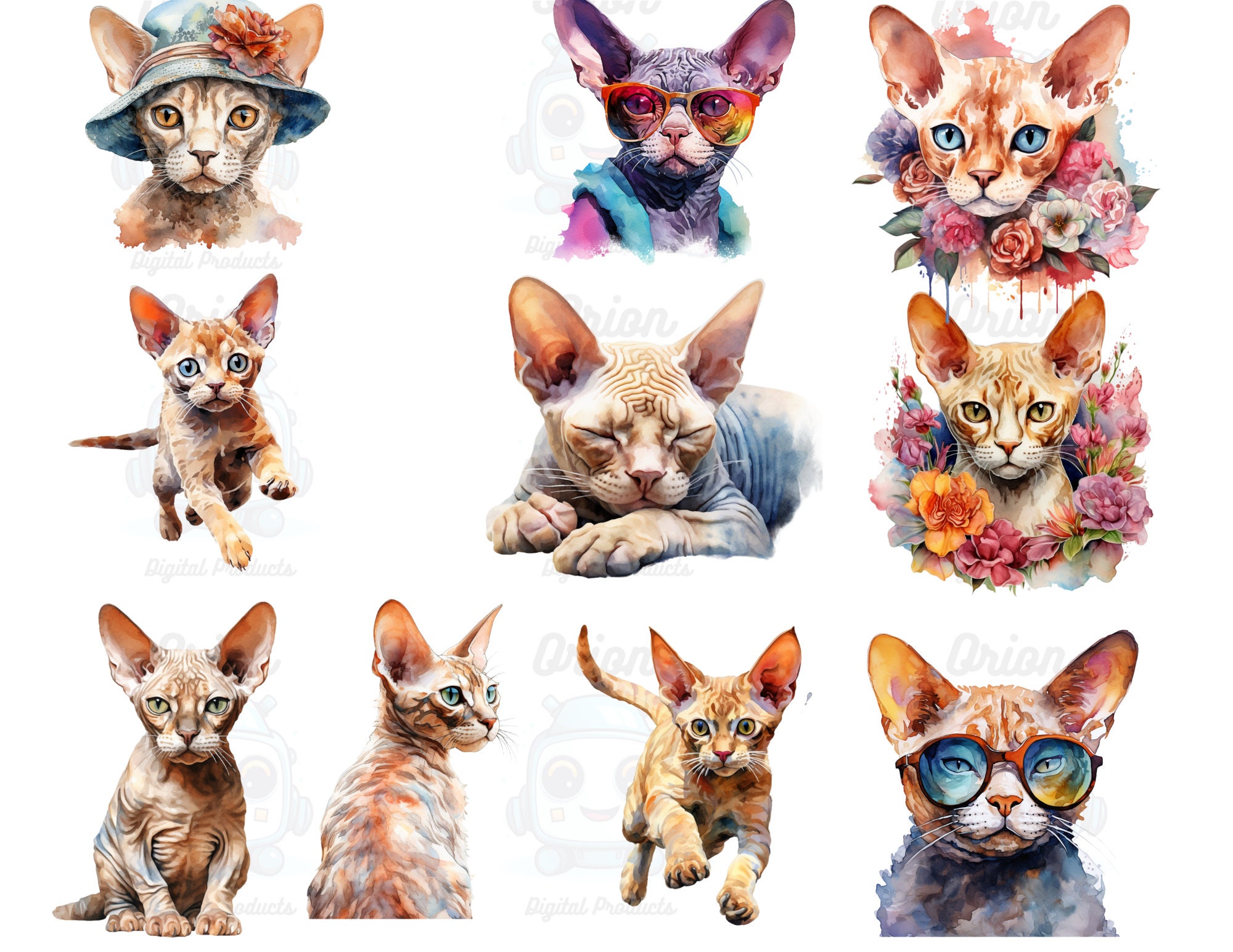Watercolor Devon Rex Cats Clipart PNG Digital Files on a - Etsy