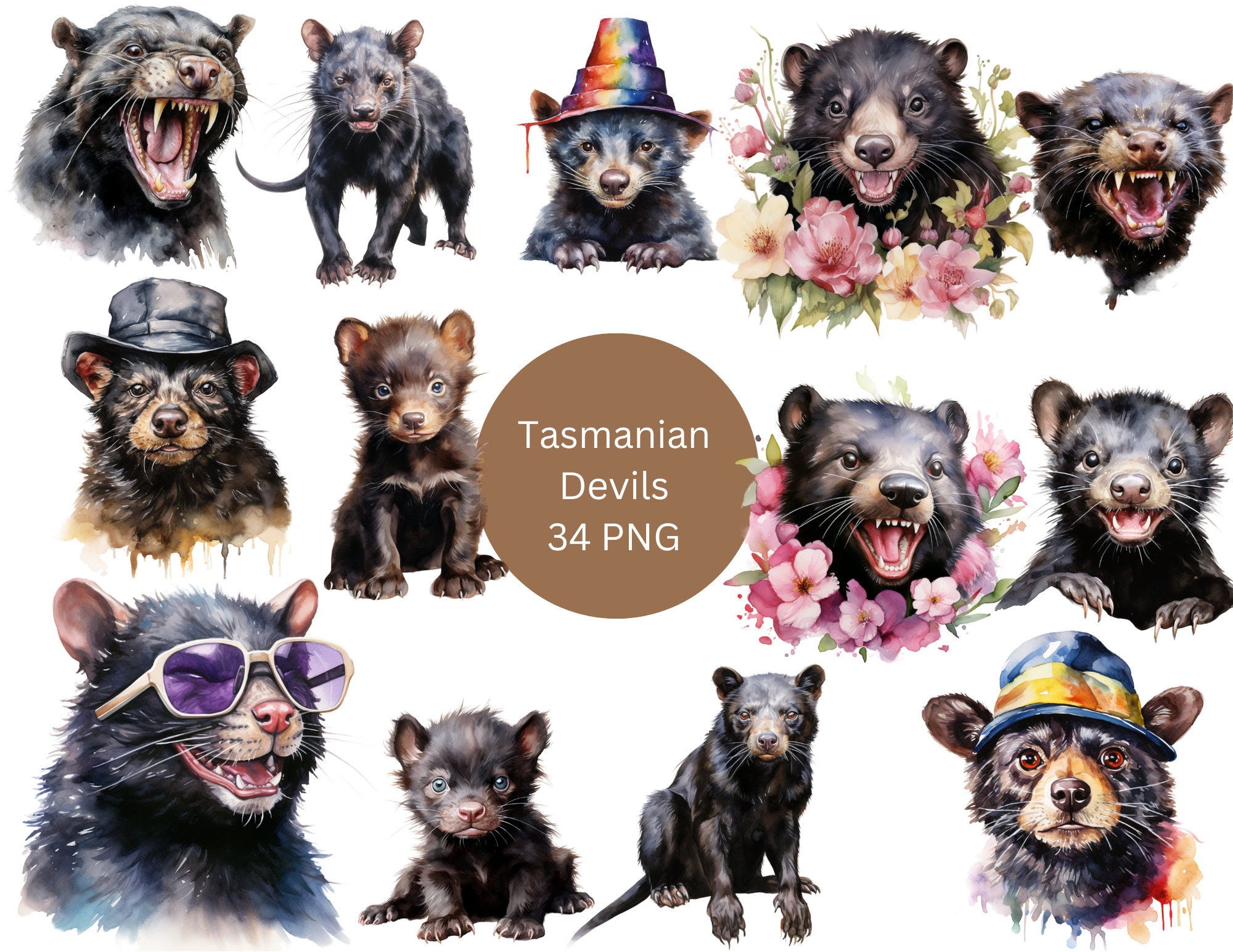 Watercolor Tasmanian Devil Clipart, PNG Digital Files on a Transparent ...