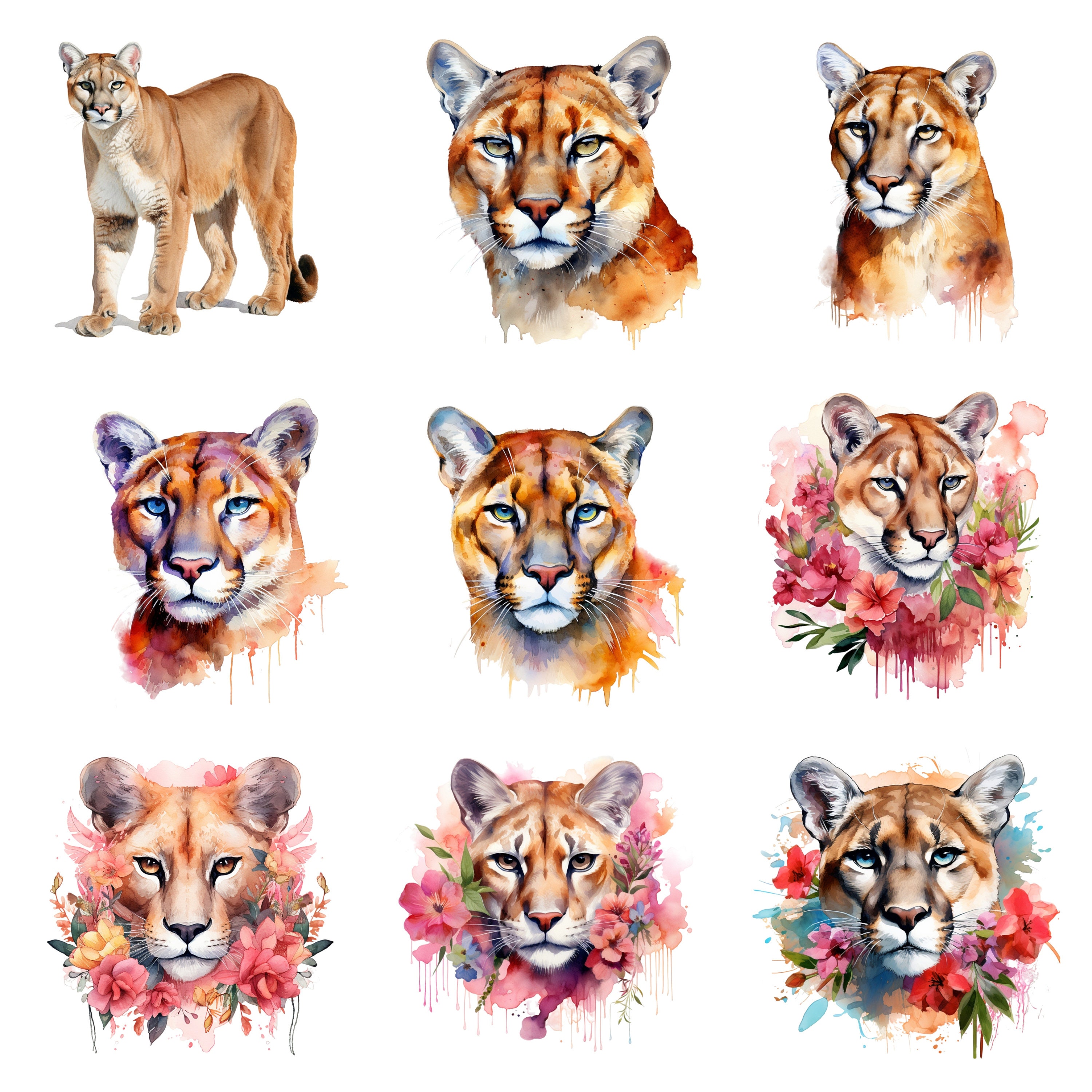 Watercolor Pumas Clipart PNG Digital Files on Transparent - Etsy