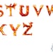 Watercolor Phoenix Alphabet Png, Instant Download for Commercial Use ...