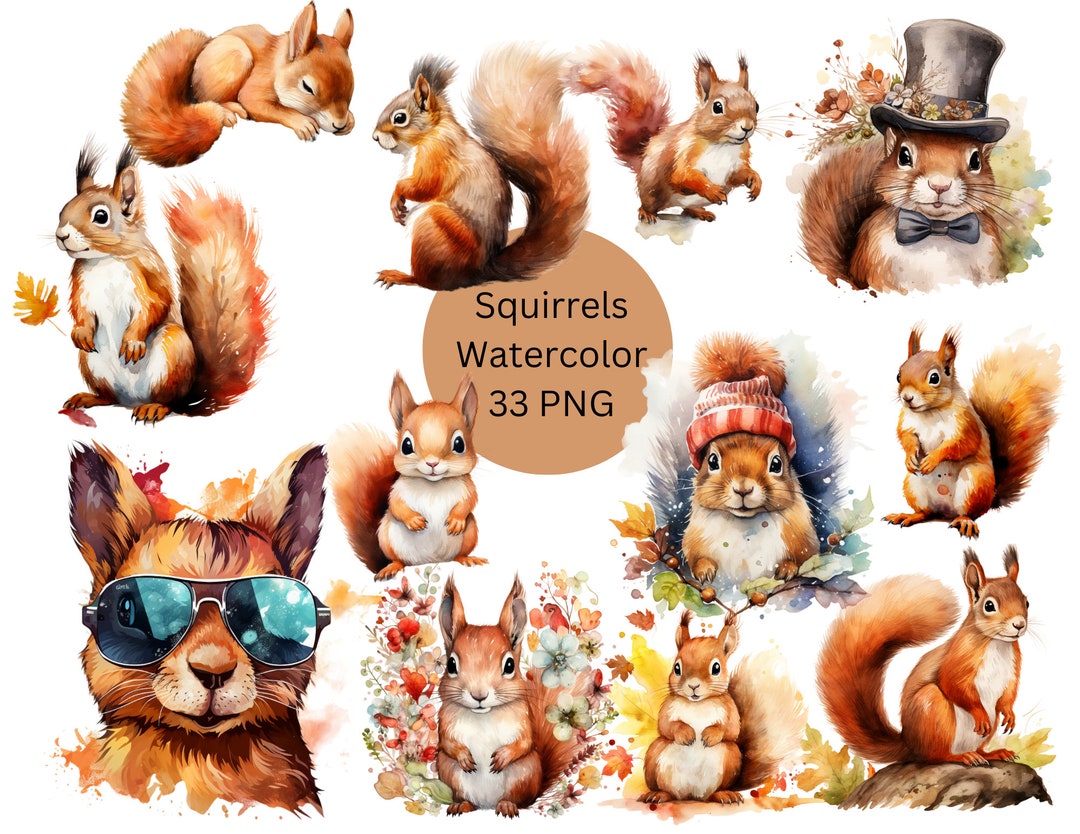 Watercolor Squirrels Clipart, PNG Digital Files on Transparent ...