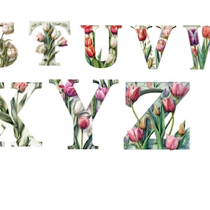 Watercolor Tulips Alphabet Clipart, PNG Individual Images on ...