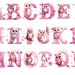 Pink Owl Alphabet, Letters Png, Alphabet Png, Instant Download for ...