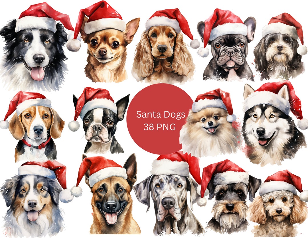 Watercolor Santa Dogs Clipart, Christmas PNG Digital Files on ...